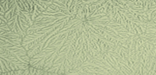 Grade 1 of ferning pattern-Uniform arborisation in the entire field of ...