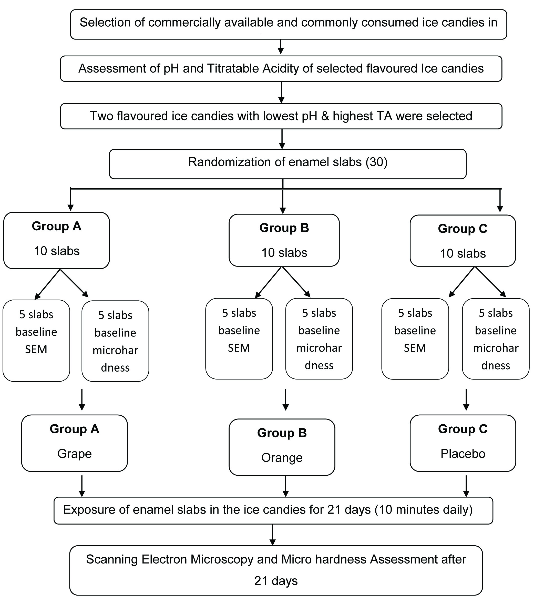 Flow-chart showing study procedure.