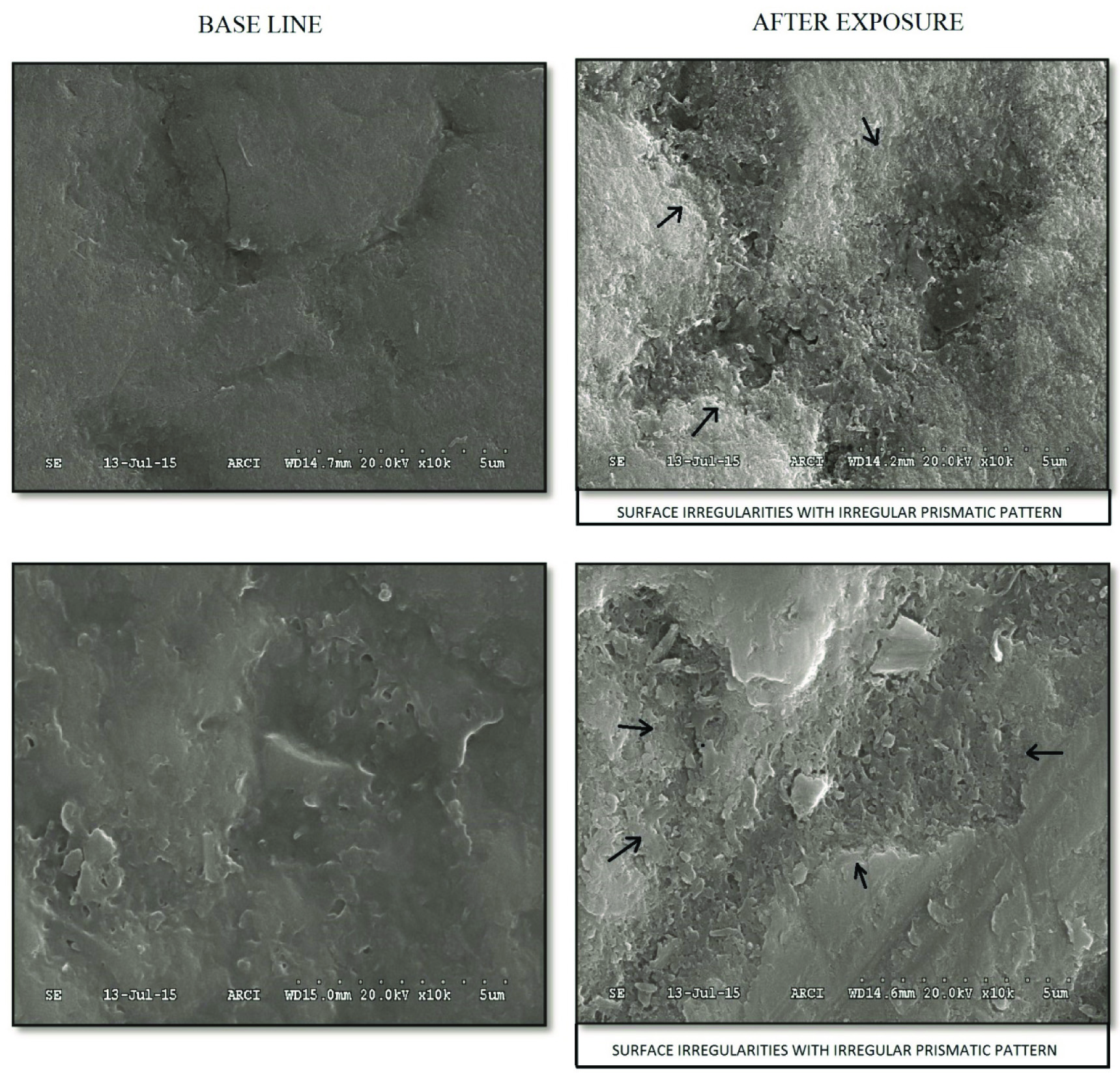 SEM (Scanning Electron Microscopy) images of enamel slabs showing ...
