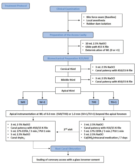 Bite force exam using a gnathodynamometer (digital dynamometer, IDDK ...