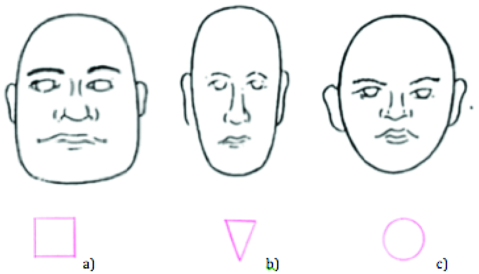 a) Square face-the outline of the face between Temporal, Zygomatic ...