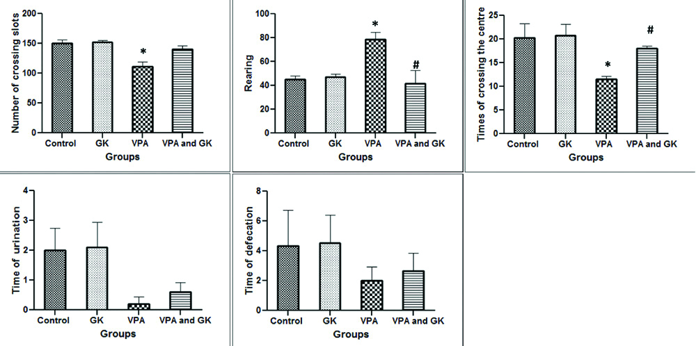 II- Social Approach (Three-Chamber) Test