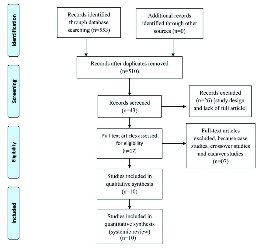 Risk of Bias Assessment