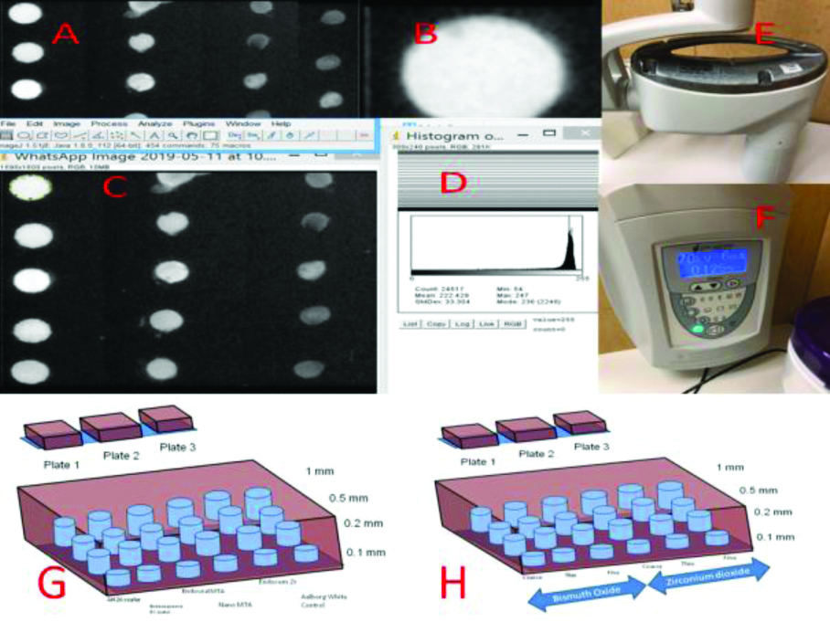 Evaluation of Radiopacity