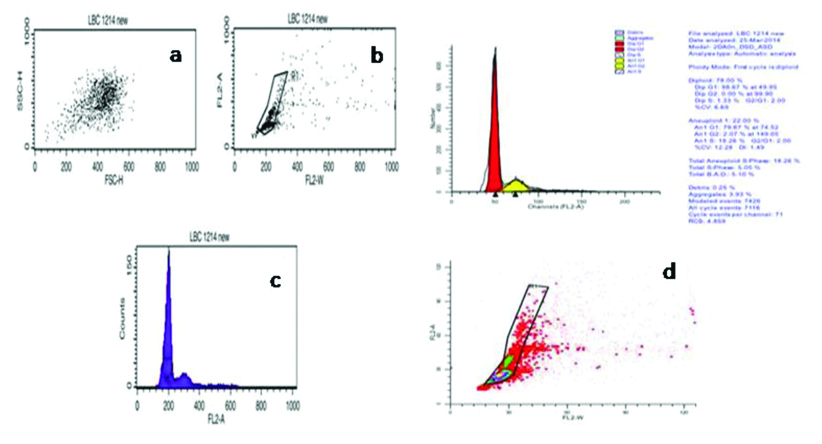 Laser Scanning Cytometry