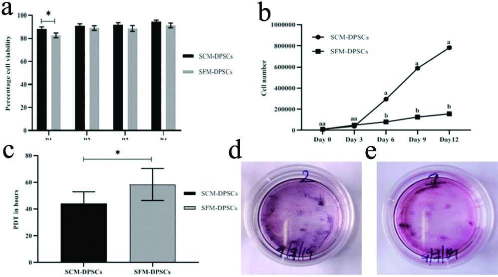 Proliferation Rate and PDT