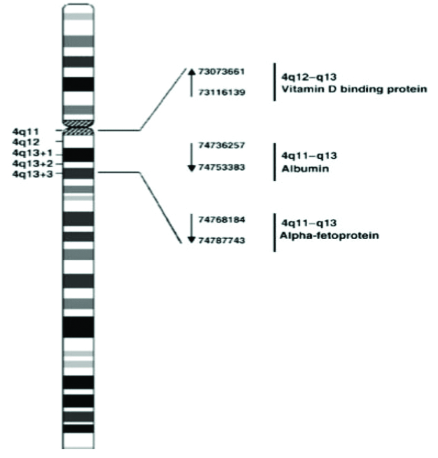 VDBP in three dimensions [ 8 ].
