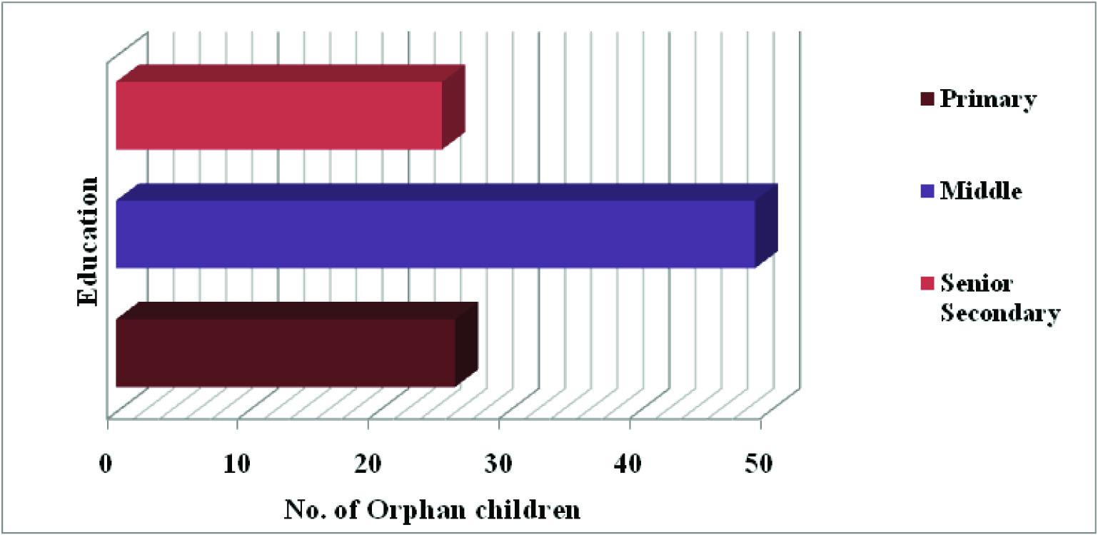 Orphan Children Statistics By Race