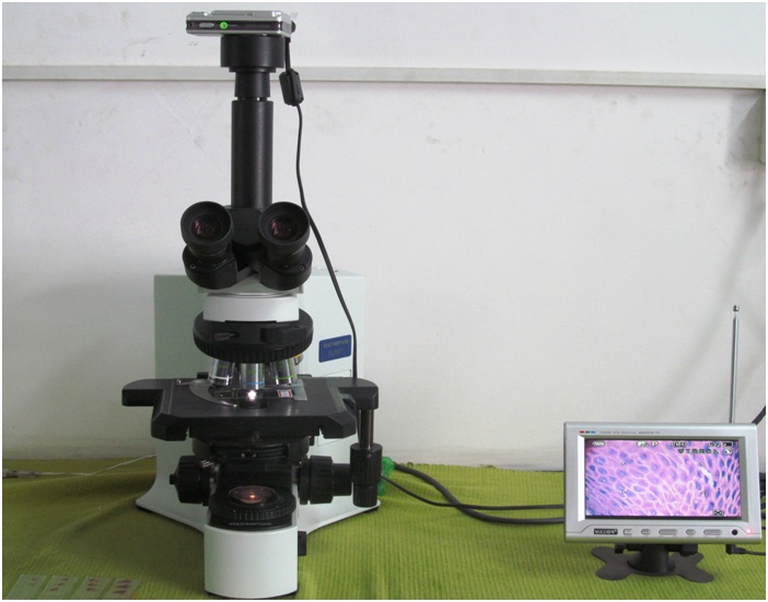 Showing image analyser software