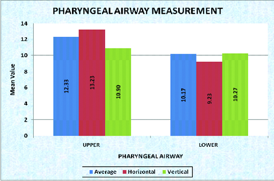 Pharyngeal Airway Measurement.