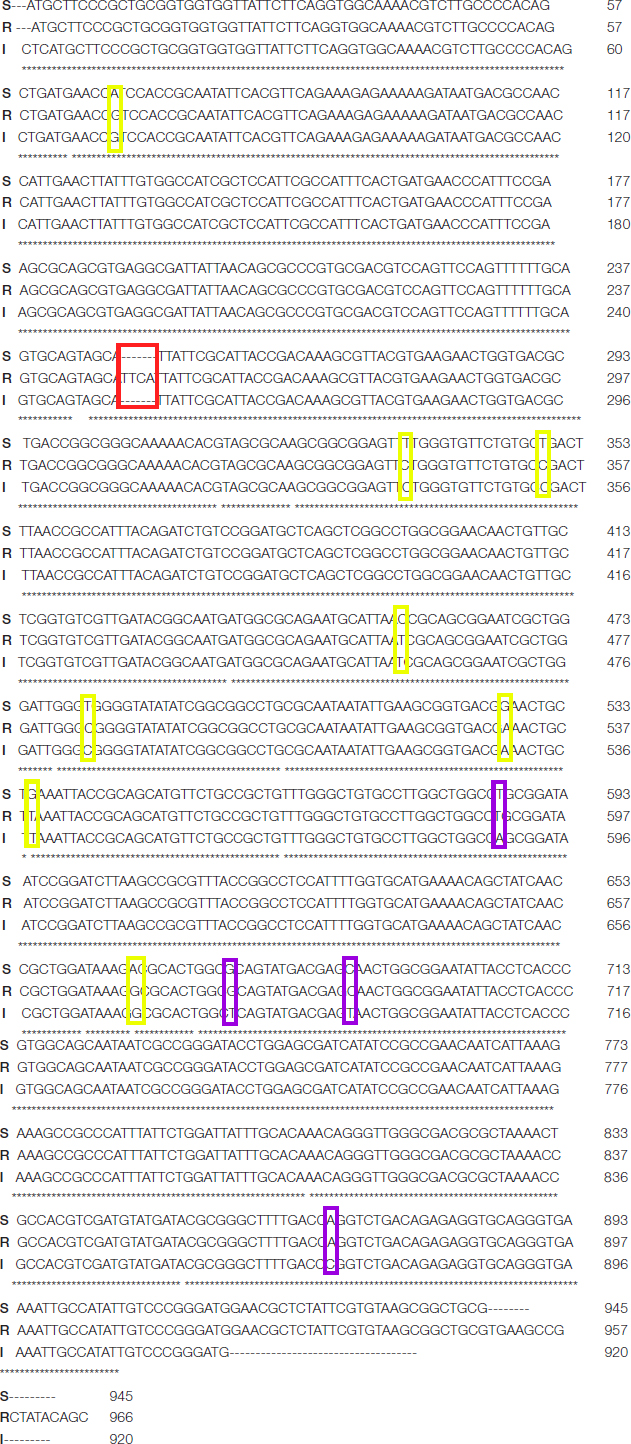 Sequenced strain was submitted to Genbank and was provided a GenBank ...