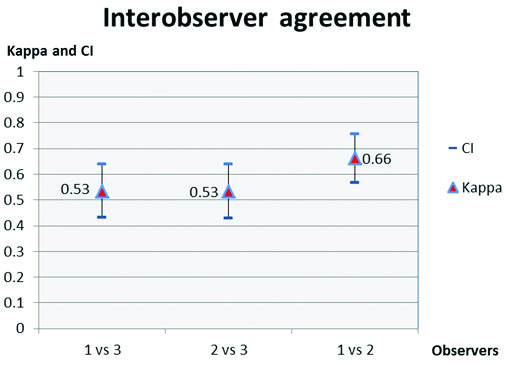 Intra-observer agreements for the TZ type classification.