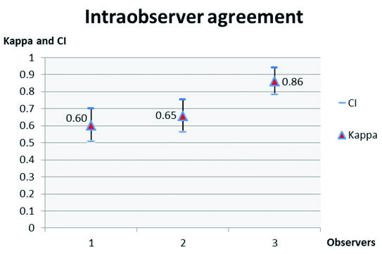 Intra-observer agreements for the TZ type classification.