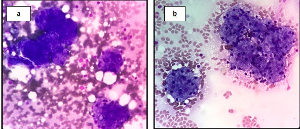 Oral Histology Digital Lab Glands Secretory Acini Image 1